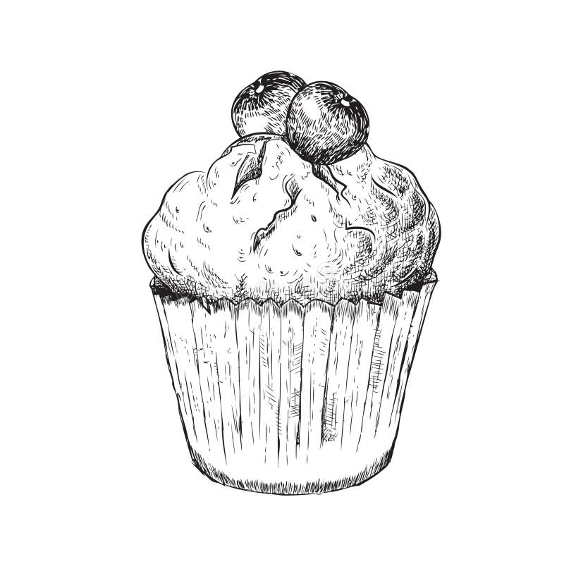 Cherry Popover stock vector. Illustration of pastry - 289117937