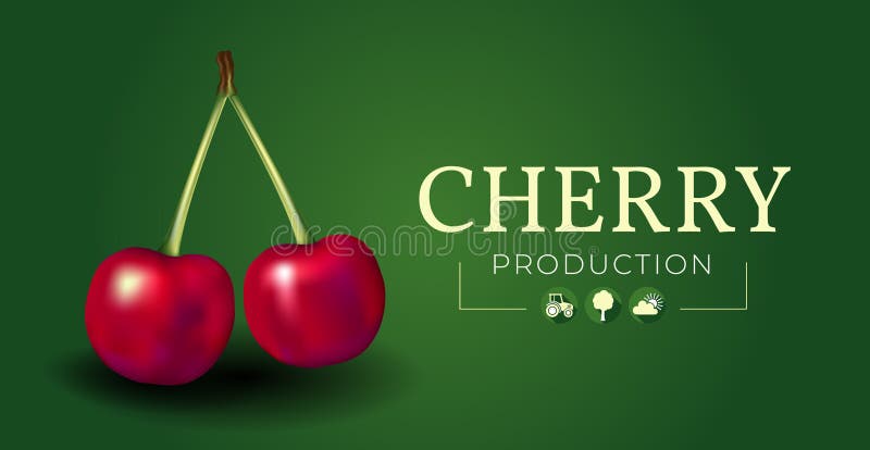 Cherry Production Banner Background Design Stock Vector - Illustration ...