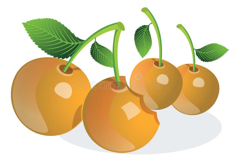 Bitten Cherry Stock Illustrations – 228 Bitten Cherry Stock ...