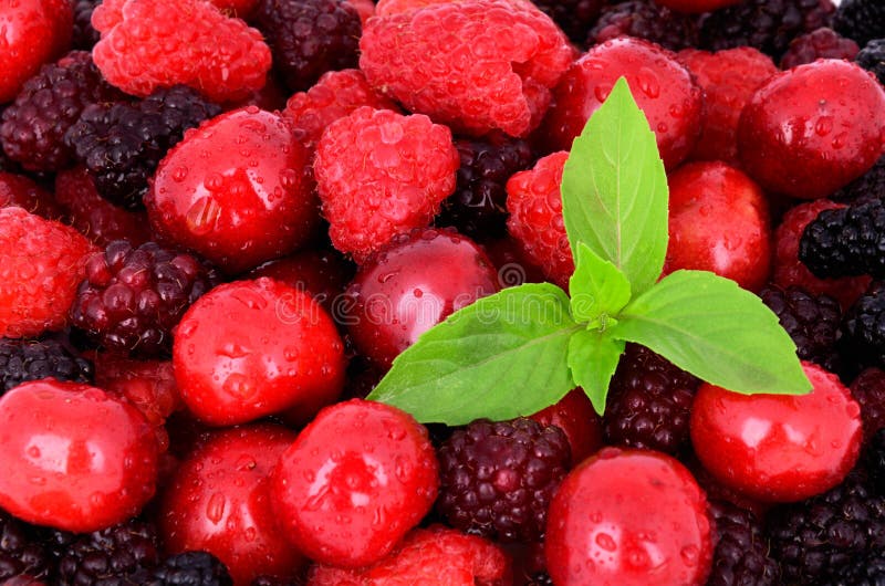 Cherry, Raspberry, Blackberry on Full Background_2 Stock Image - Image ...