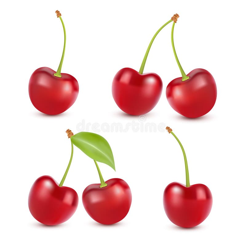 Cherry Realistic Fruit Vector Icons Set. Isolated Vector Illustration ...
