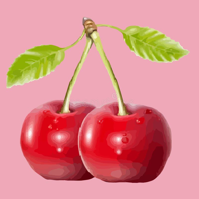 Cherry is a Red Fruit with a Sweet Taste, Small Size, Very Delicious ...