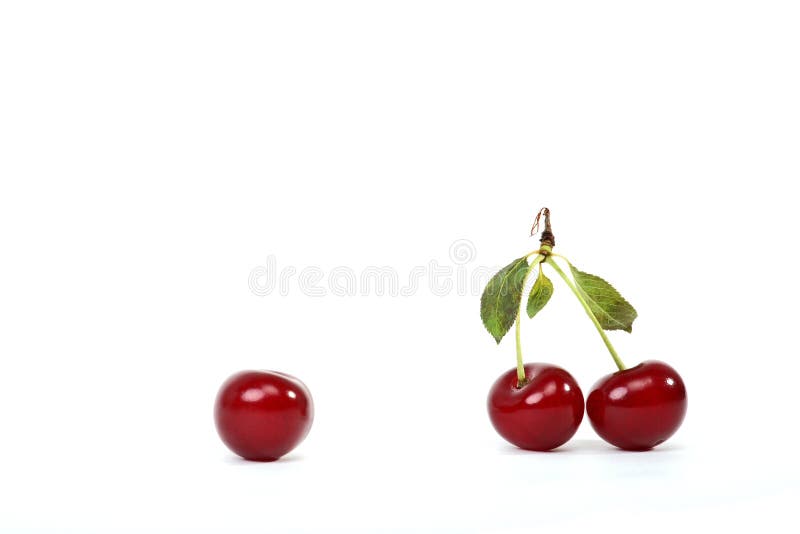 Single Black Cherry stock photo. Image of nutritious, nutrition - 1680114