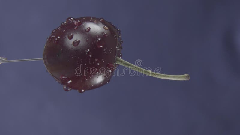 Cherry Rotating with Loop on Blue Screen for Chroma Key Stock Footage ...