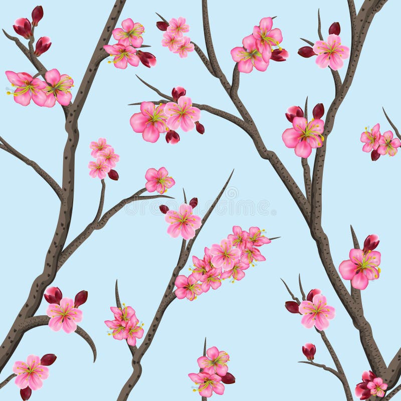 Sakura seamless pattern stock vector. Illustration of leaves - 29203479