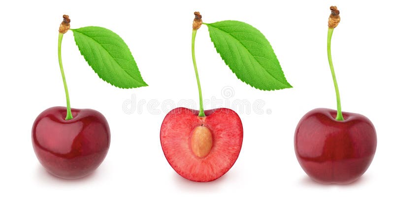 Cerry Collection. with Clipping Path. Stock Photo - Image of purple ...