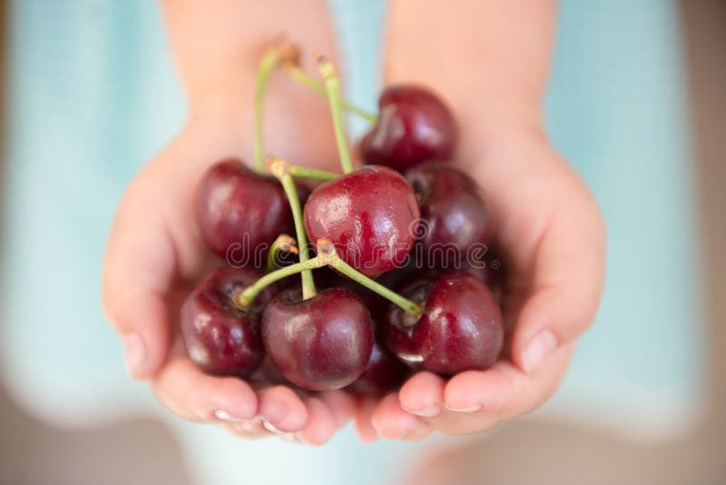 Cherry stock photo. Image of cherry, finger, hands, children - 93772184