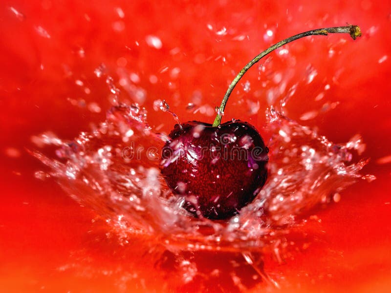 Fresh cherries stock image. Image of delicious, sweet - 45515705