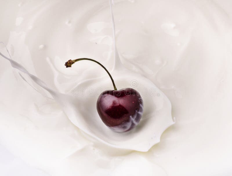 Cherry with Splash in Yogurt Stock Photo - Image of tasty, berry: 114006816