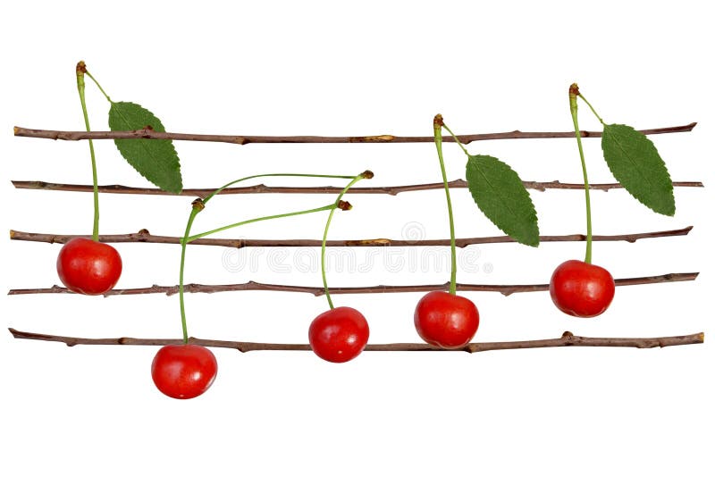 Cherry staff stock photo. Image of musical, cherries, cherry - 2666454