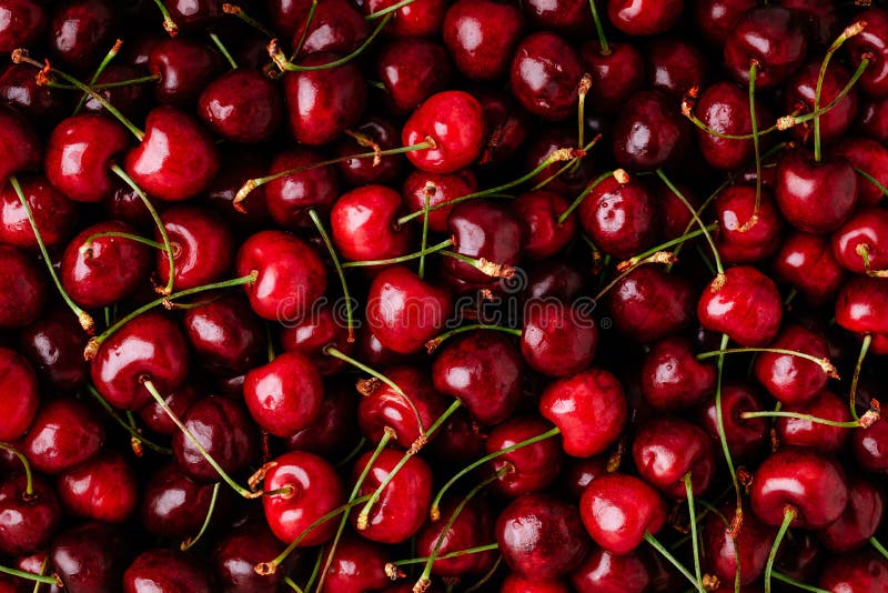 Cherry. Sweet Cherries Background. Ripe Sweet Red Cherries Stock Image ...