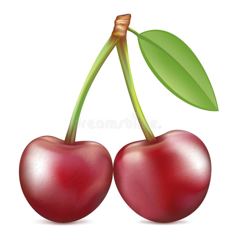 Cherry. Sweet Fruit. Vector Icons Set. Realistic Illustration. Stock ...