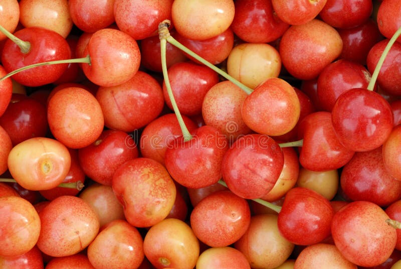 Cherry texture stock image. Image of macro, freshness - 73097641