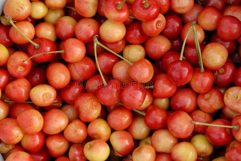 Cherry texture stock photo. Image of background, diet - 73100086