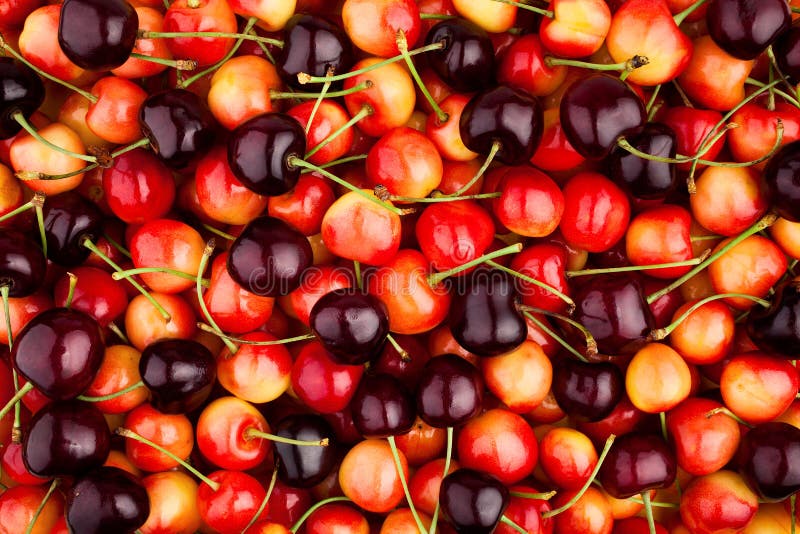 Cherry stock image. Image of pattern, colorful, fruit - 56477321