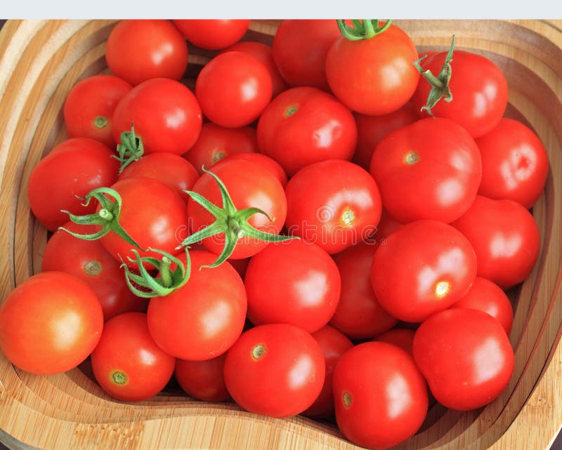Cherry Tomato stock photo. Image of tomatoes, cultivation - 20806440