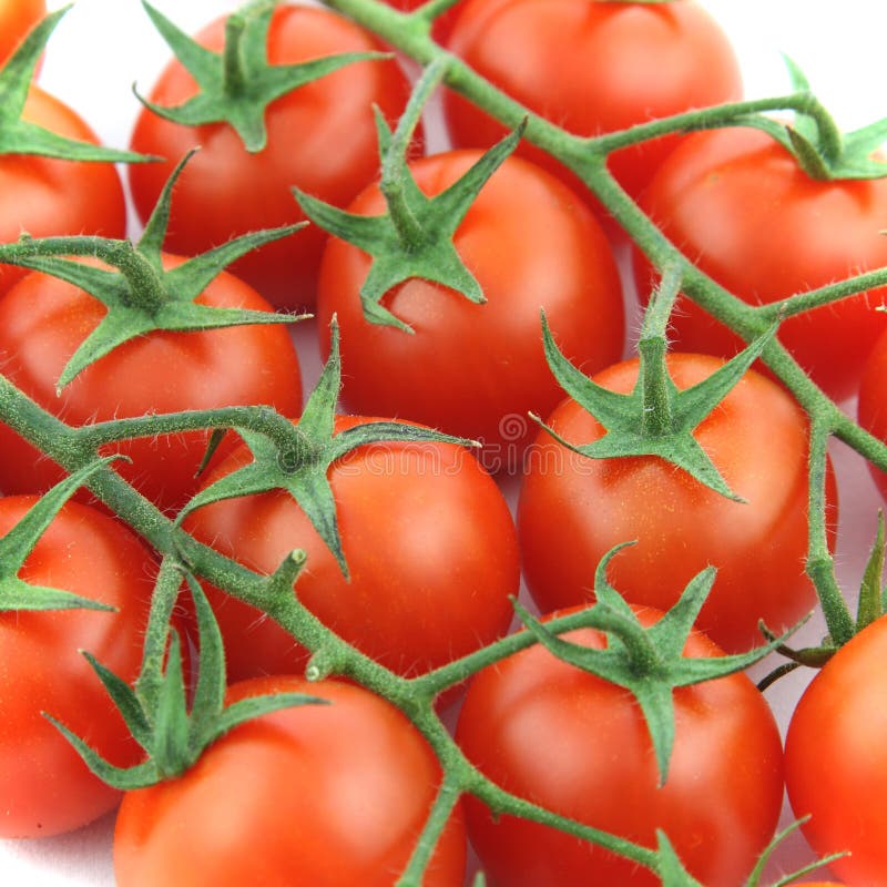 Cherry tomato stock photo. Image of healthy, freshness - 23410212