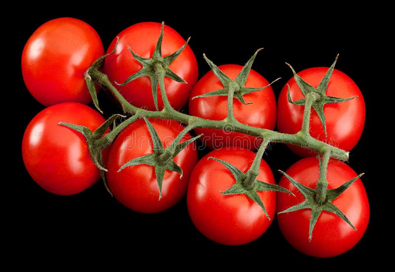 Cherry Tomato Bunch Vegetable Stock Photo - Image of closeup, bunch ...
