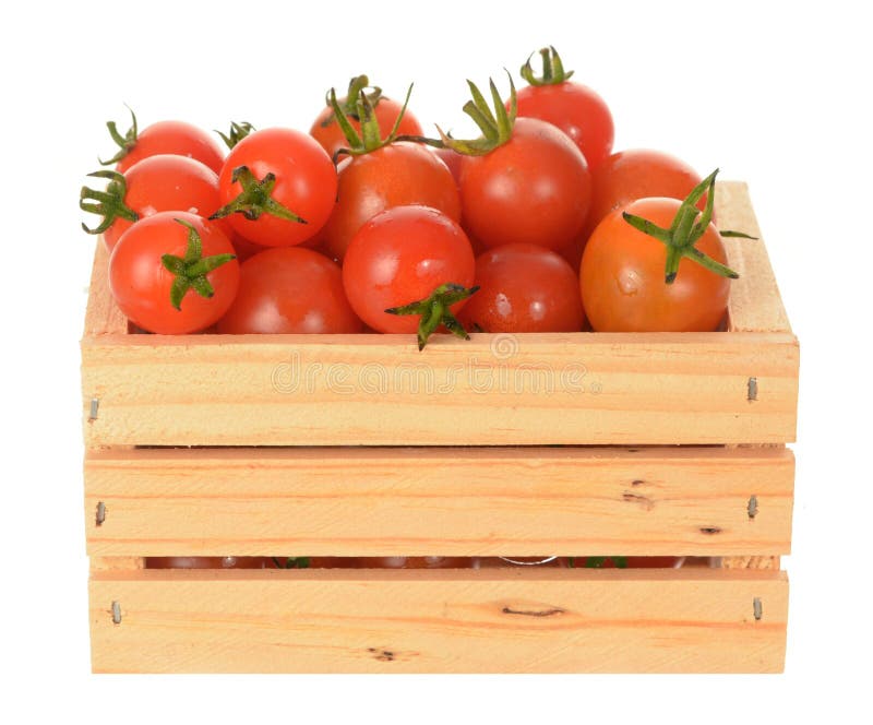 Cherry tomato stock image. Image of healthy, vegetarian - 108183653