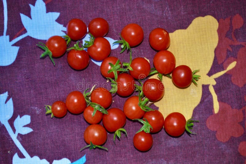 Image of Cherry Tomatoes on a Colorful Tablecloth. Stock Image - Image ...
