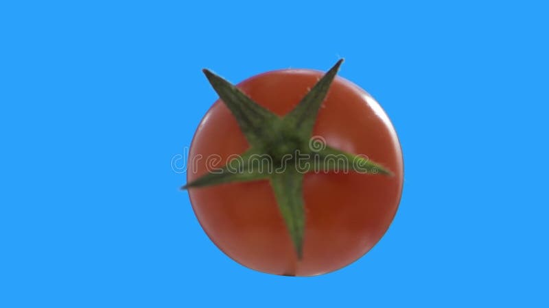 Cherry Tomato Twisting and Spinning Around on Blue Background, Isolate ...