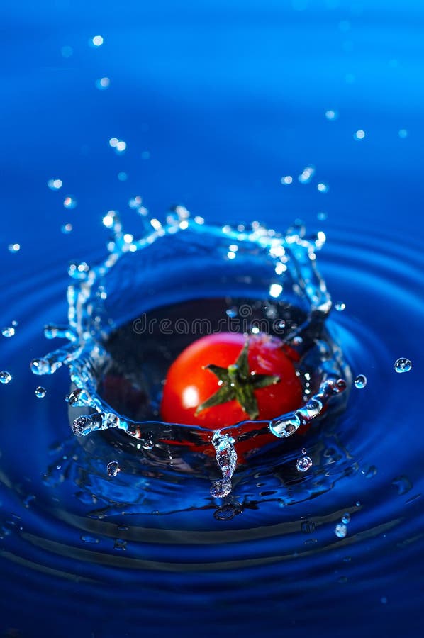 Cherry tomato in water stock image. Image of drops, fresh - 1303385