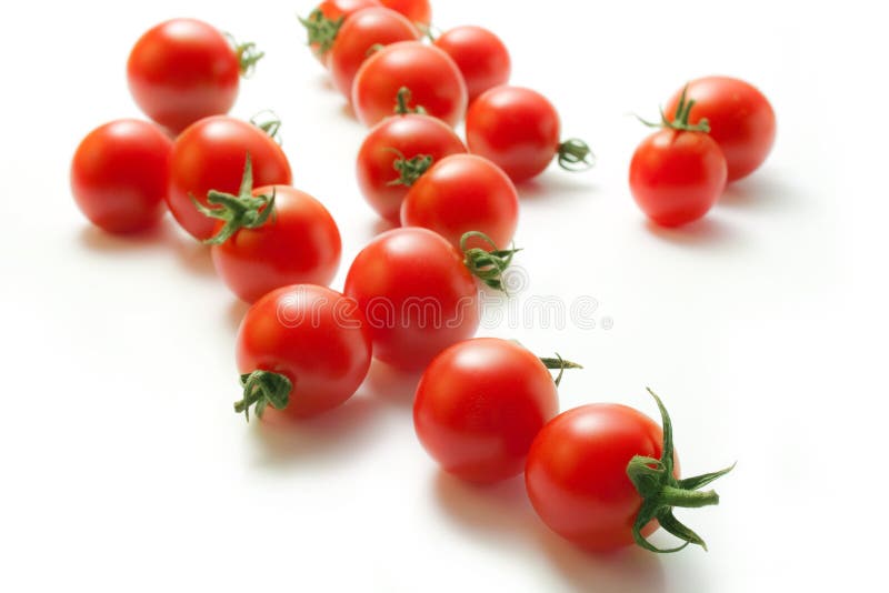 Willful tomato stock image. Image of commitment, isolated - 1764633 Willful tomato stock image. Image of commitment, isolated - 1764633