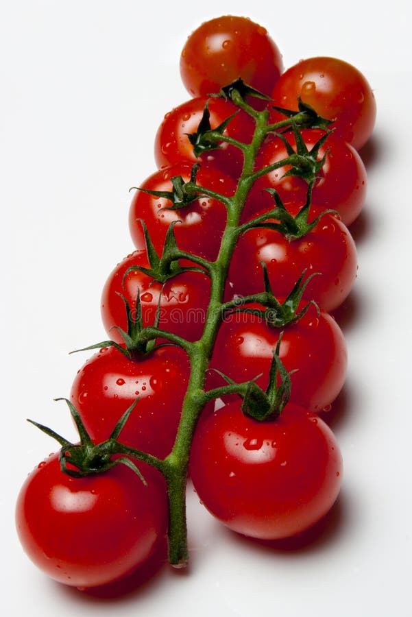 Cherry Tomatoes, Red and Green Stock Photo - Image of agriculture, ripe ...
