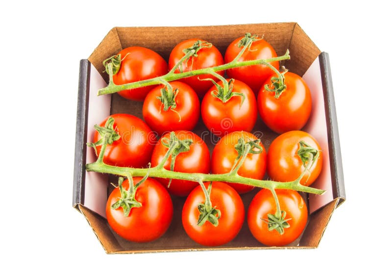 Vine Tomatoes In Plastic Packaging 3 Stock Image - Image of detail ...
