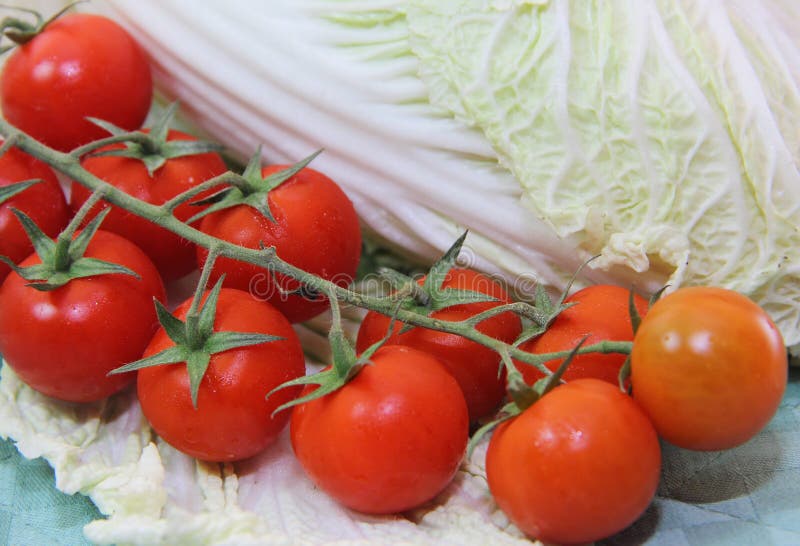 Cherry Tomatoes on Branch on the Background of Chinese Cabbage Stock ...