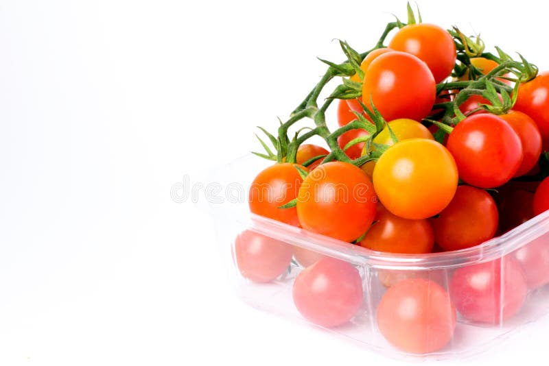 Cherry Tomatoes on a Branch in Transparent Retail Plastic Box Stock ...