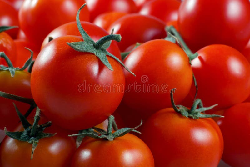 Cherry tomatoes stock image. Image of vegetable, bunch - 30735569