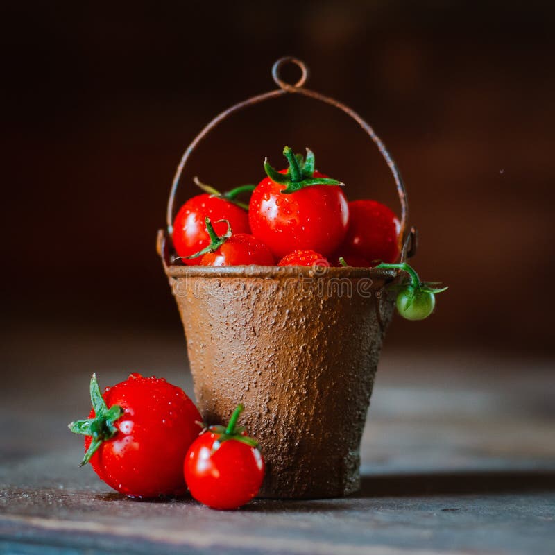Cherry Tomatoes in a Decorative Rusty Old Bucket on a Dark Rustic ...