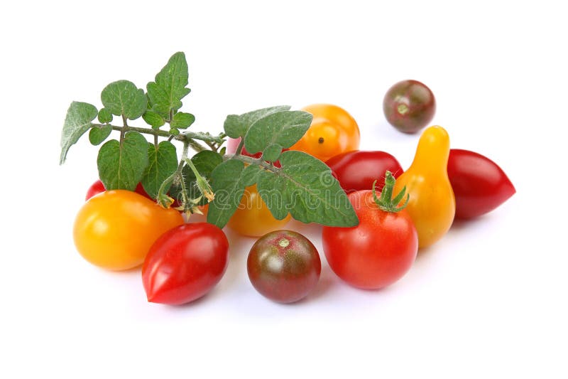 Cherry Tomatoes of Different Varieties and Colors Isolated Stock Photo ...