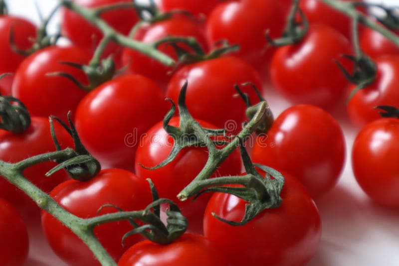 Cherry Tomatoes on a Green Branch, Red Berries, Tomatoes on a White ...
