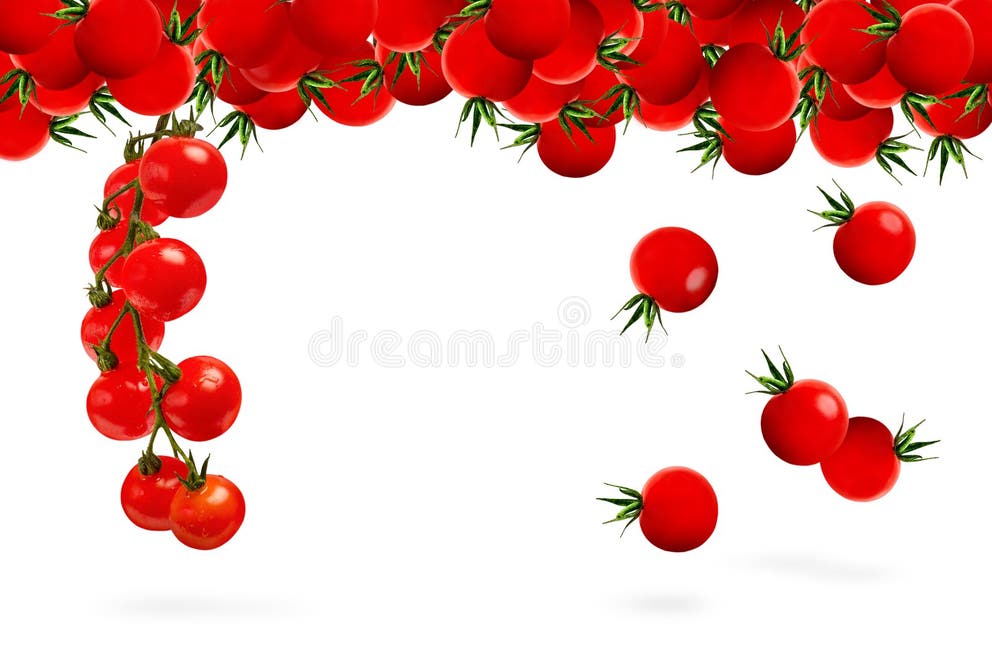 Cherry Tomatoes Isolate on White, Set of Different Tomatoes on a Branch ...