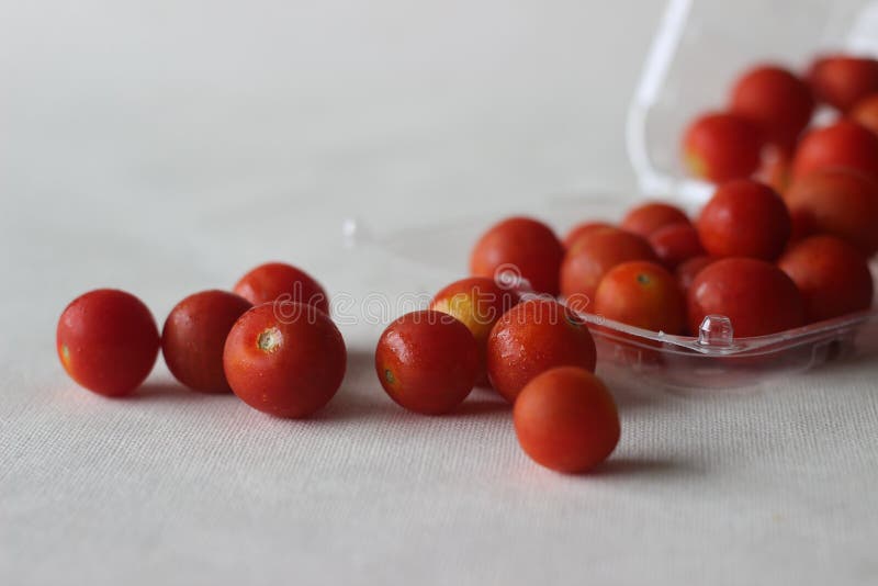 Cherry Tomatoes Packed in a Transparent Plastic Box Stock Image - Image ...