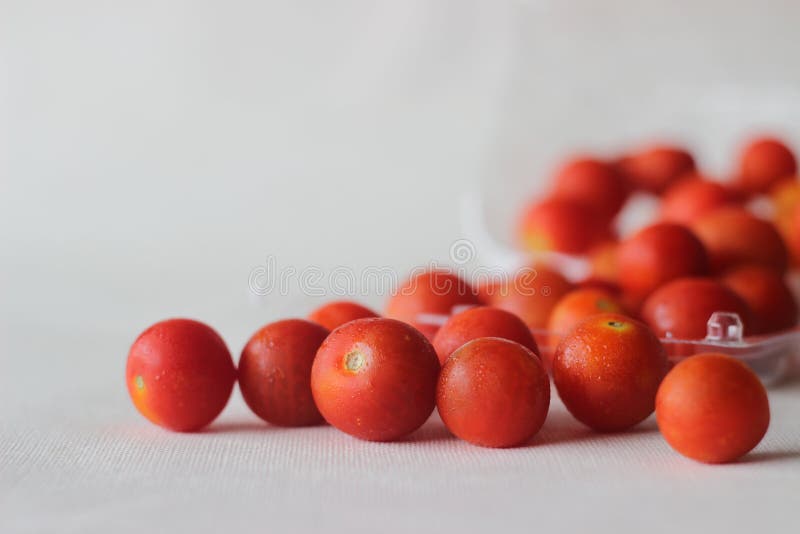 Cherry Tomatoes Packed in a Transparent Plastic Box Stock Photo - Image ...
