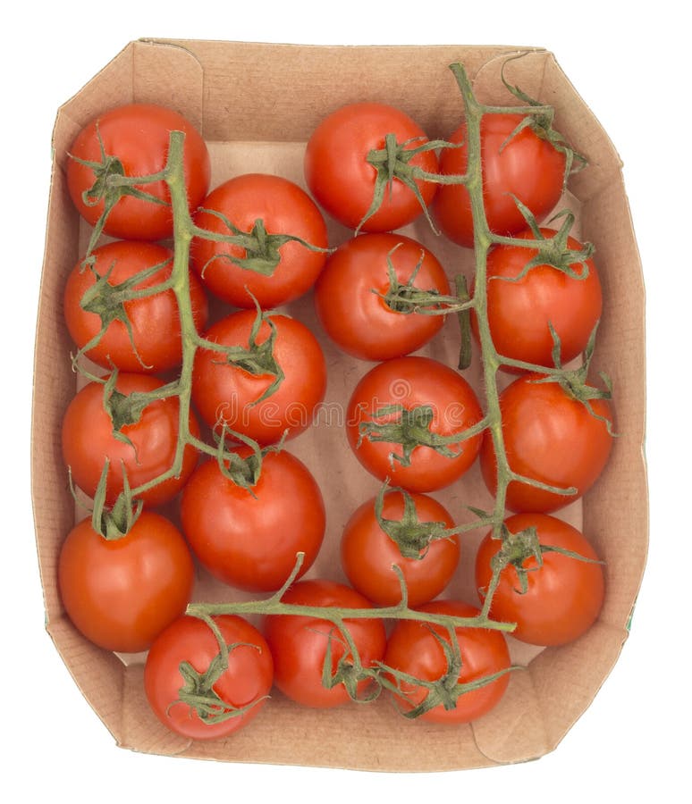 Tomatoes in paper bag stock image. Image of tomato, carry - 14026909