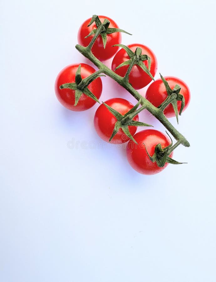 Cherry Tomatoes on Stalk Against Plain White Background Stock Image ...