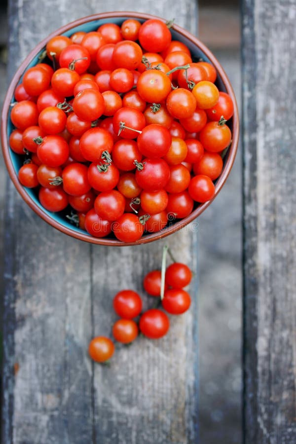 Cherry tomatoes, top view stock photo. Image of autumn - 47362612