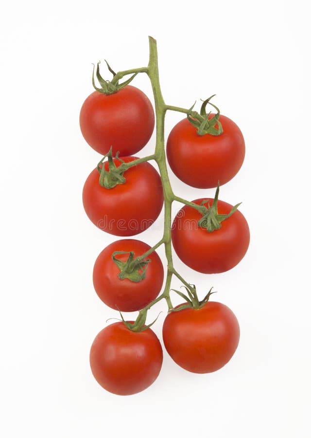 CHERRY TOMATOES on the VINE Stock Photo - Image of diet, dieting: 113485636