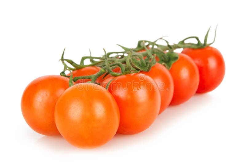 Cherry Tomatoes on a White Background Front View Stock Image - Image of ...