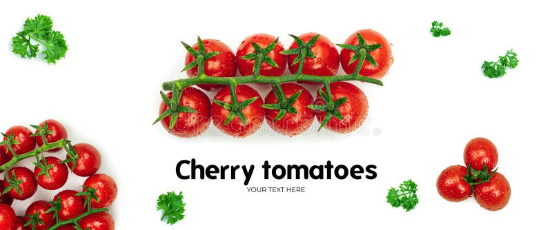 Cherry Tomatoes on White Background. Long Header Banner Format ...