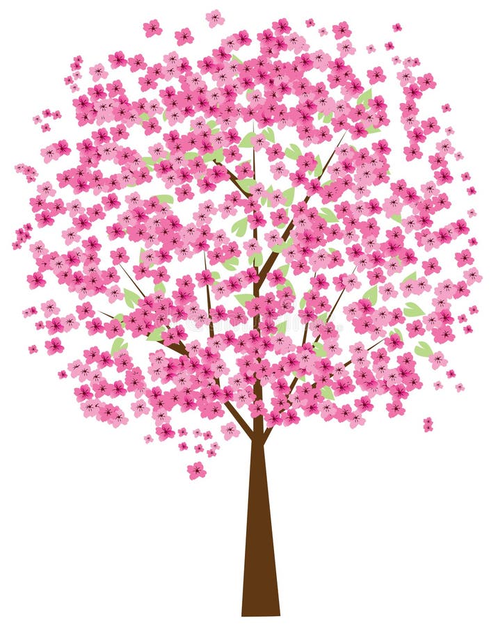 Cherry blossom tree stock vector. Illustration of plant - 13642916