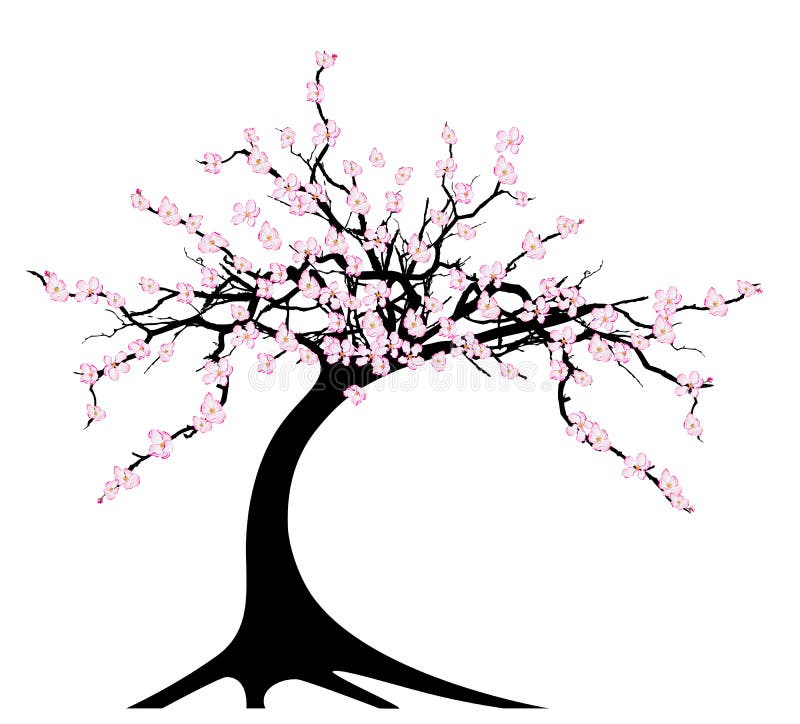 Cherry Tree Seamless Pattern Stock Vector - Illustration of tree, plant ...