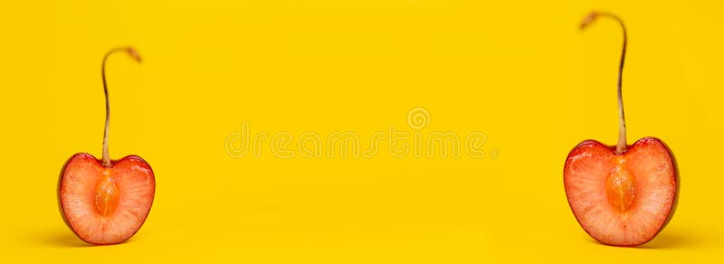 142 Cherry Tree Cross Section Stock Photos - Free & Royalty-Free Stock ...