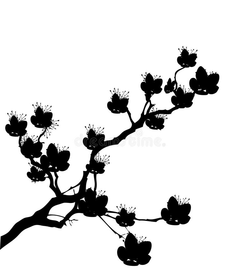 Cherry Stem Outline Stock Illustrations – 1,283 Cherry Stem Outline ...