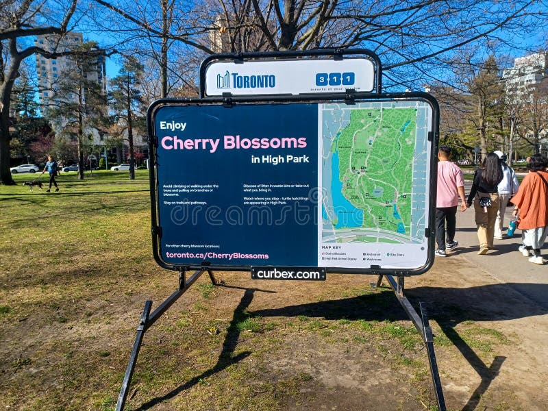 Cherry Tree Full Blossom in High Park Editorial Stock Image - Image of ...