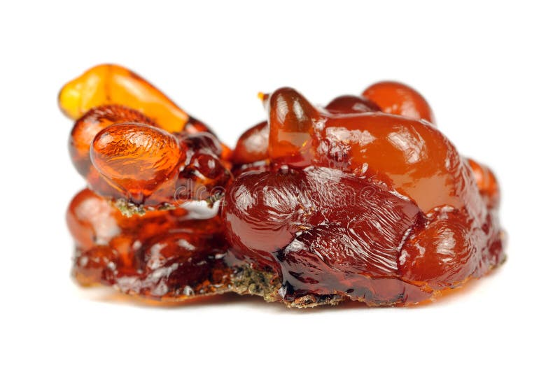 Cherry Tree Resin on White Background Stock Photo - Image of amber ...
